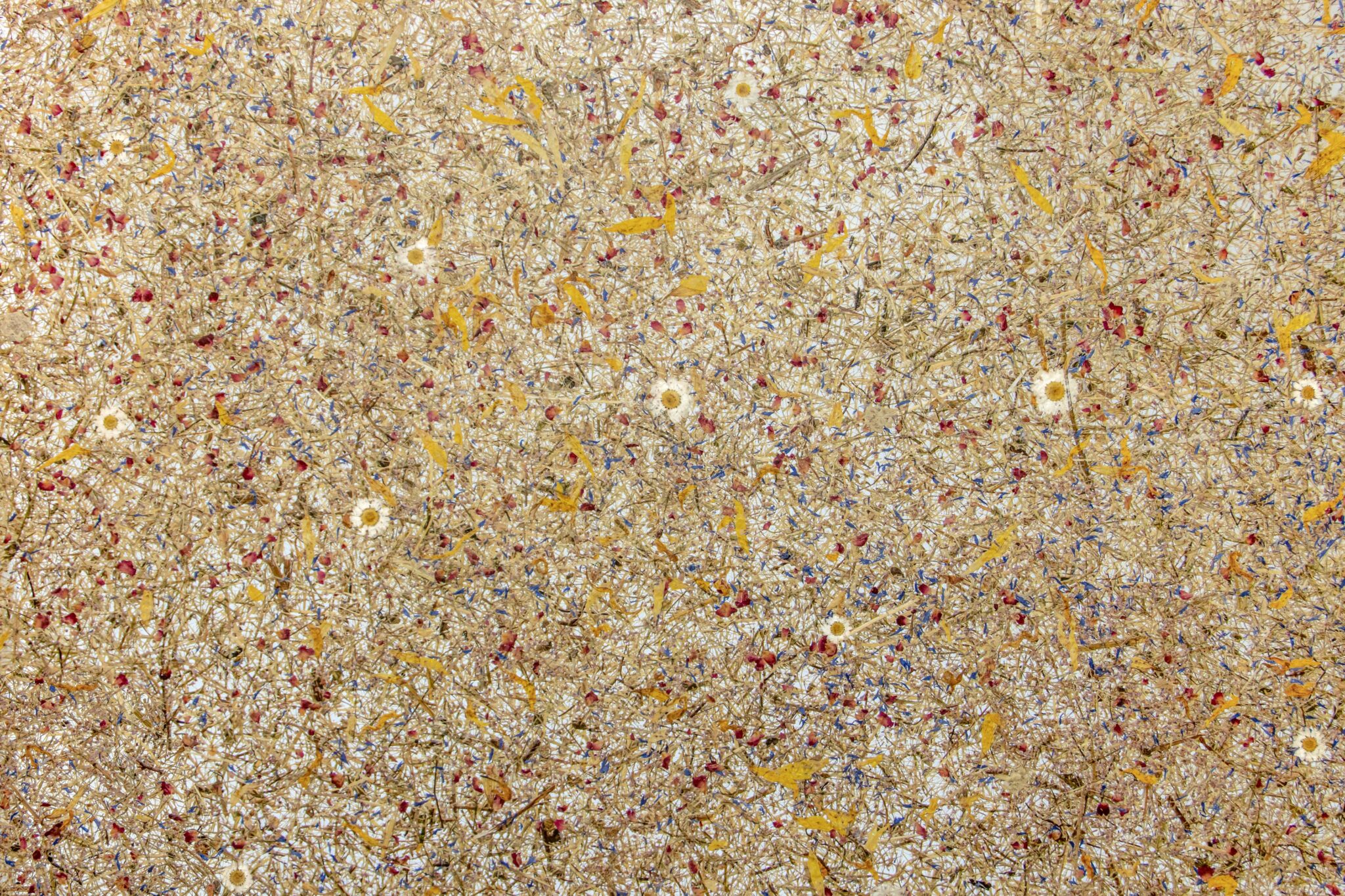 MOUNTAIN MEADOW medium - Adhesive foil (translucent) - Organoid