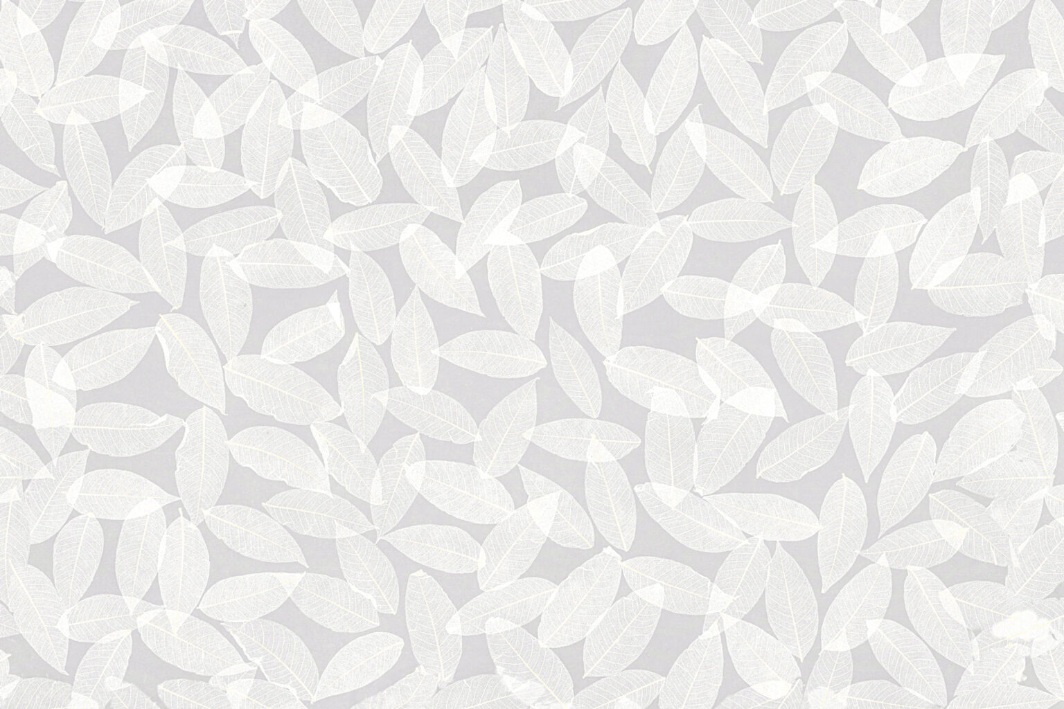 SKELETON LEAVES medium - on adhesive foil (translucent) - Organoid