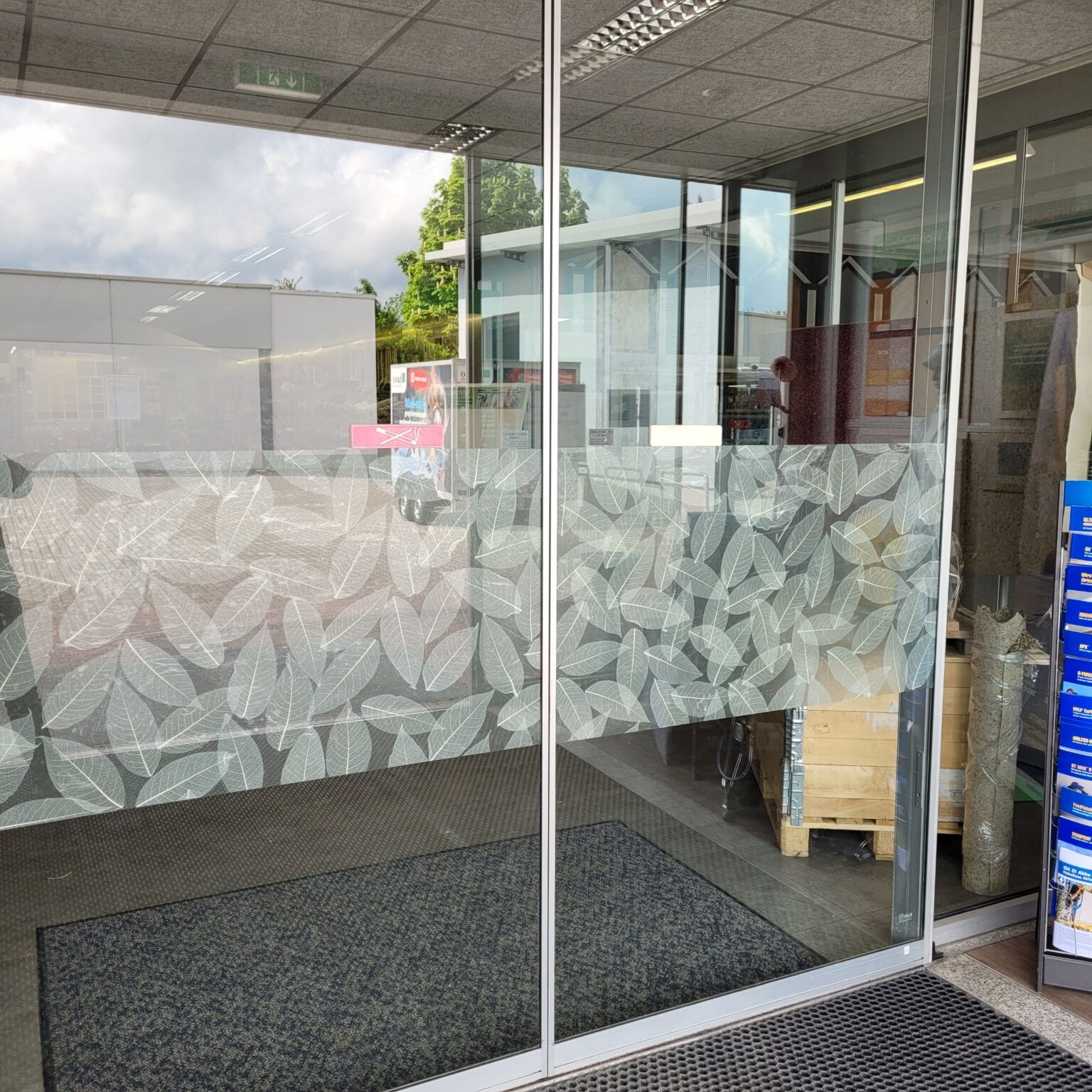 SKELETON LEAVES medium - on adhesive foil (translucent) - Organoid