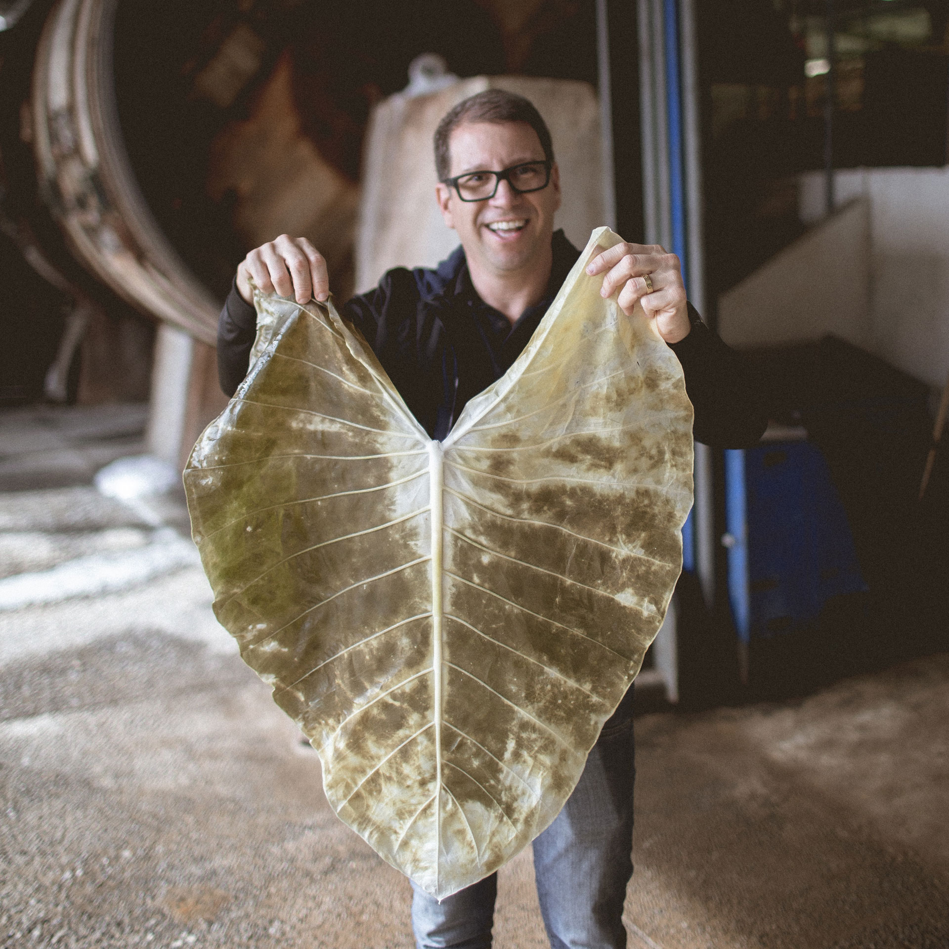 JUNGLE KING - on flax backing - Organoid